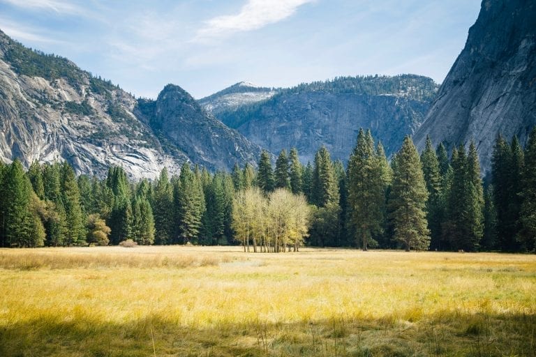 2019 ESG (Environment, Social, and Governance) Impact Report | Ranpak