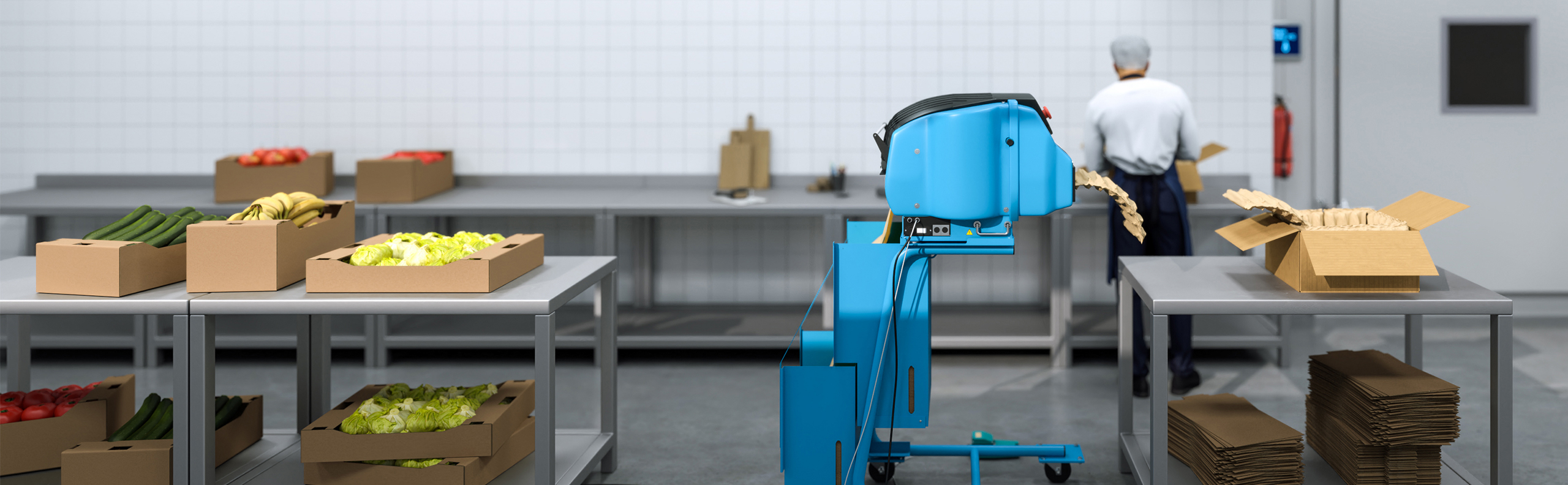 WrapPak Protector | Ranpak