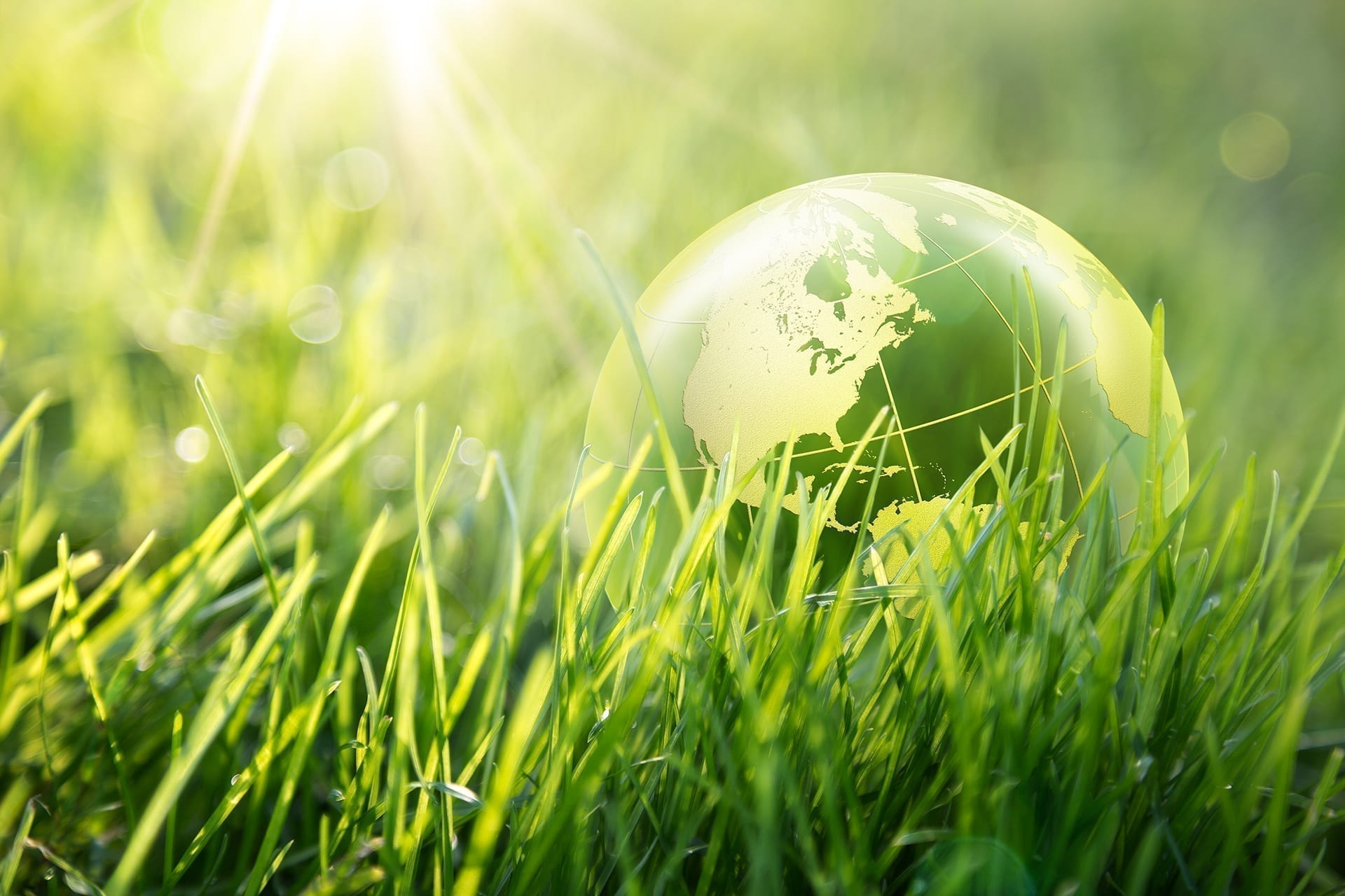 2019 ESG (Environment, Social, and Governance) Impact Report | Ranpak